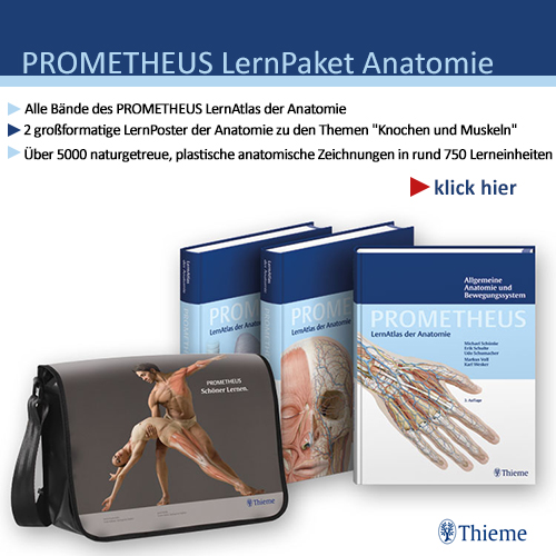 4. Phantom-Kurse bereiten auf Arbeit am Patienten vor